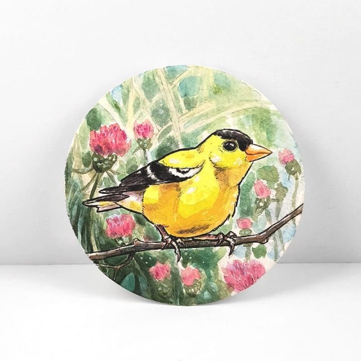 American Goldfinch – Ryanne Levin